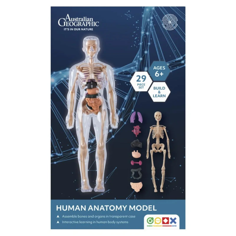 Australian Geographic Human Anatomy Model — Universal Electronics